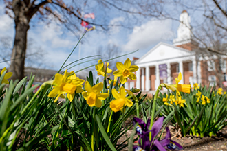 Login - Tennessee Technological University